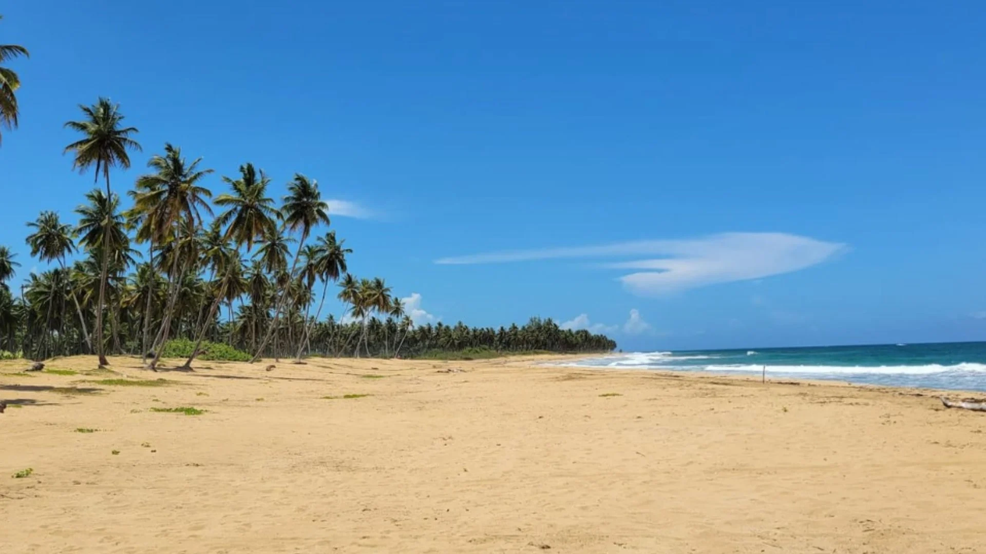Miches o Samaná: ¿Cuál es el mejor destino para tu viaje a República ...