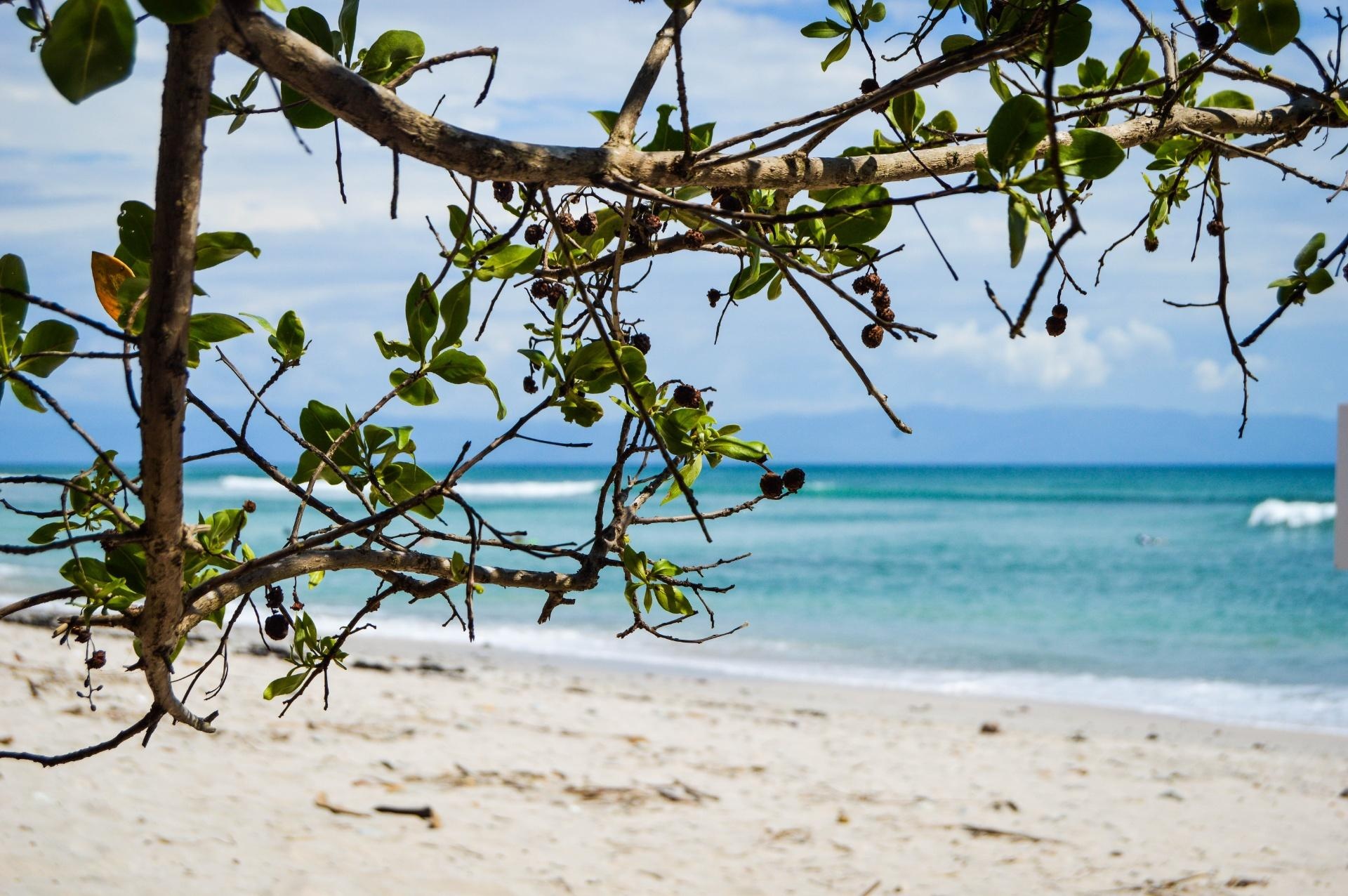 Viagens a Riviera Nayarit - Newblue