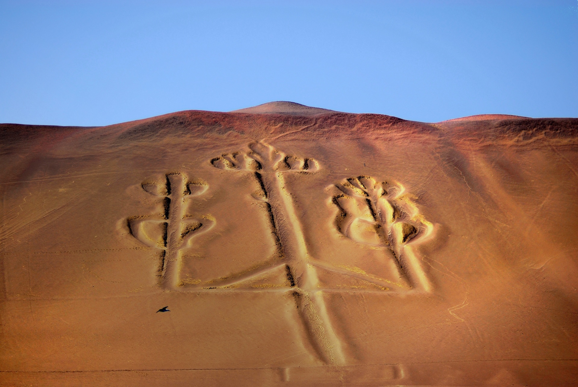 Linhas de Nazca e Machu Picchu