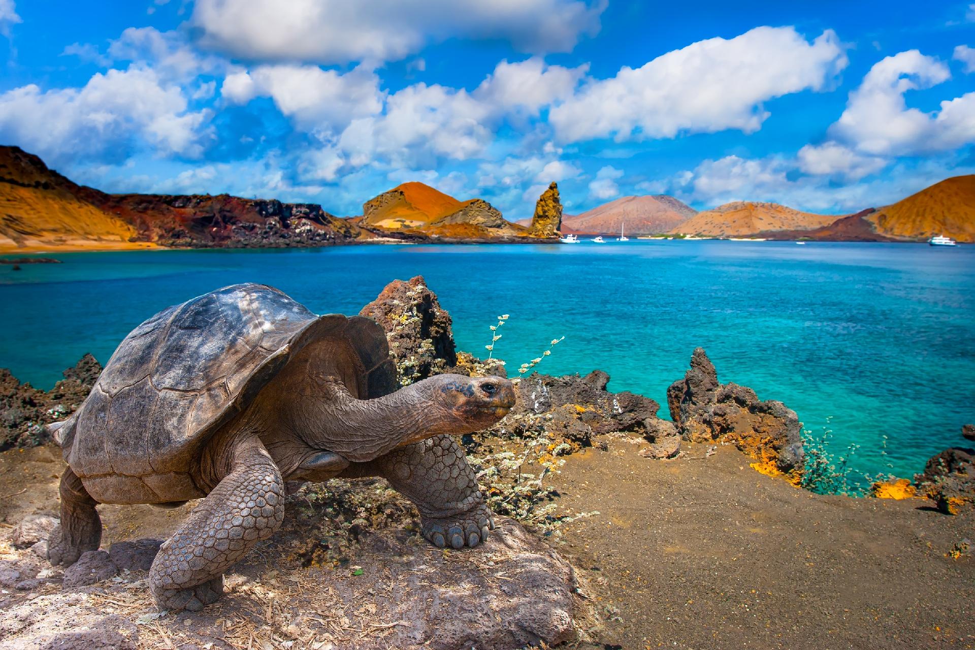 Islas Galápagos, Paraíso Natural | Icárion