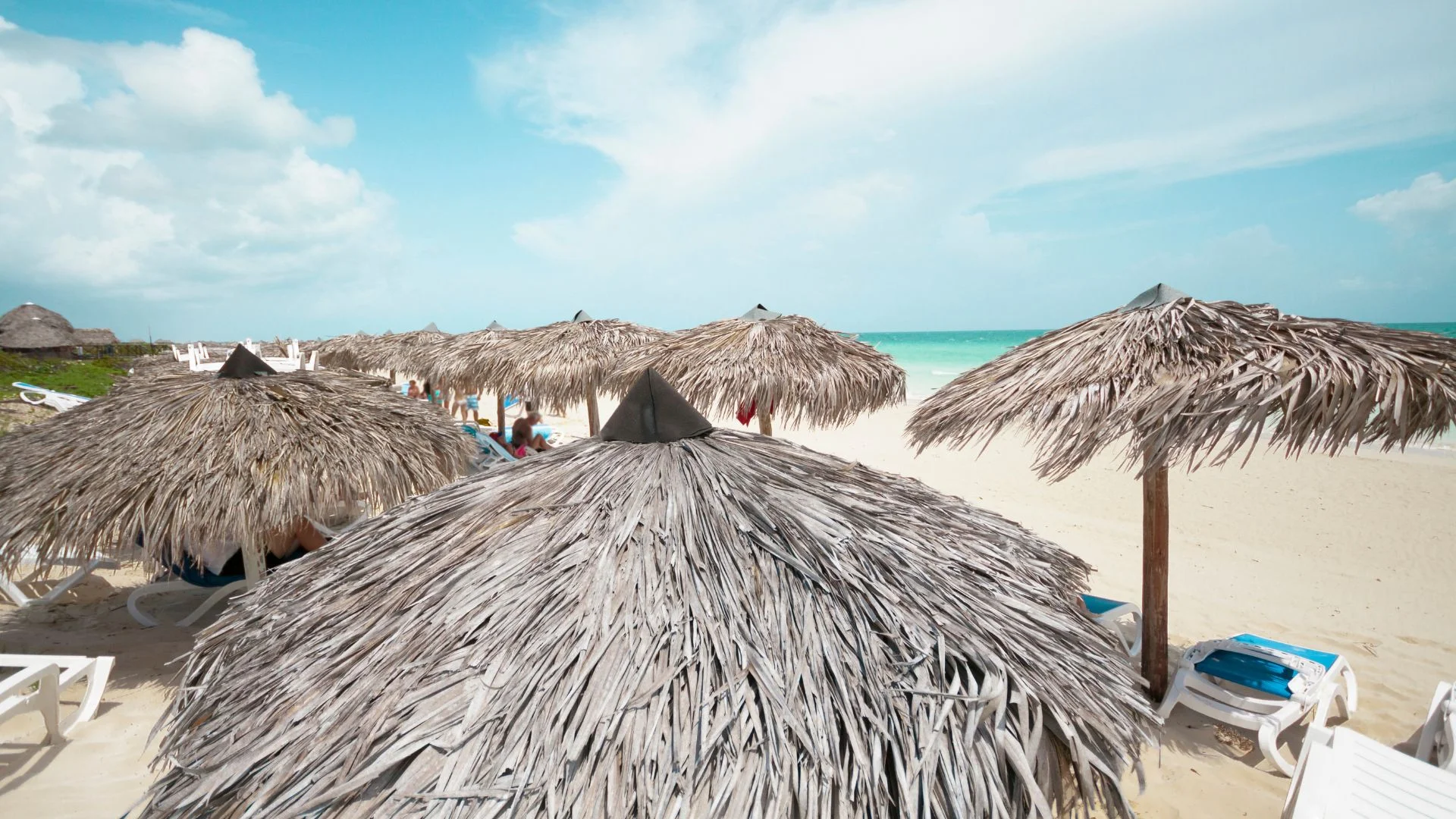 Isla Barú en Cartagena de Indias: Guía Completa
