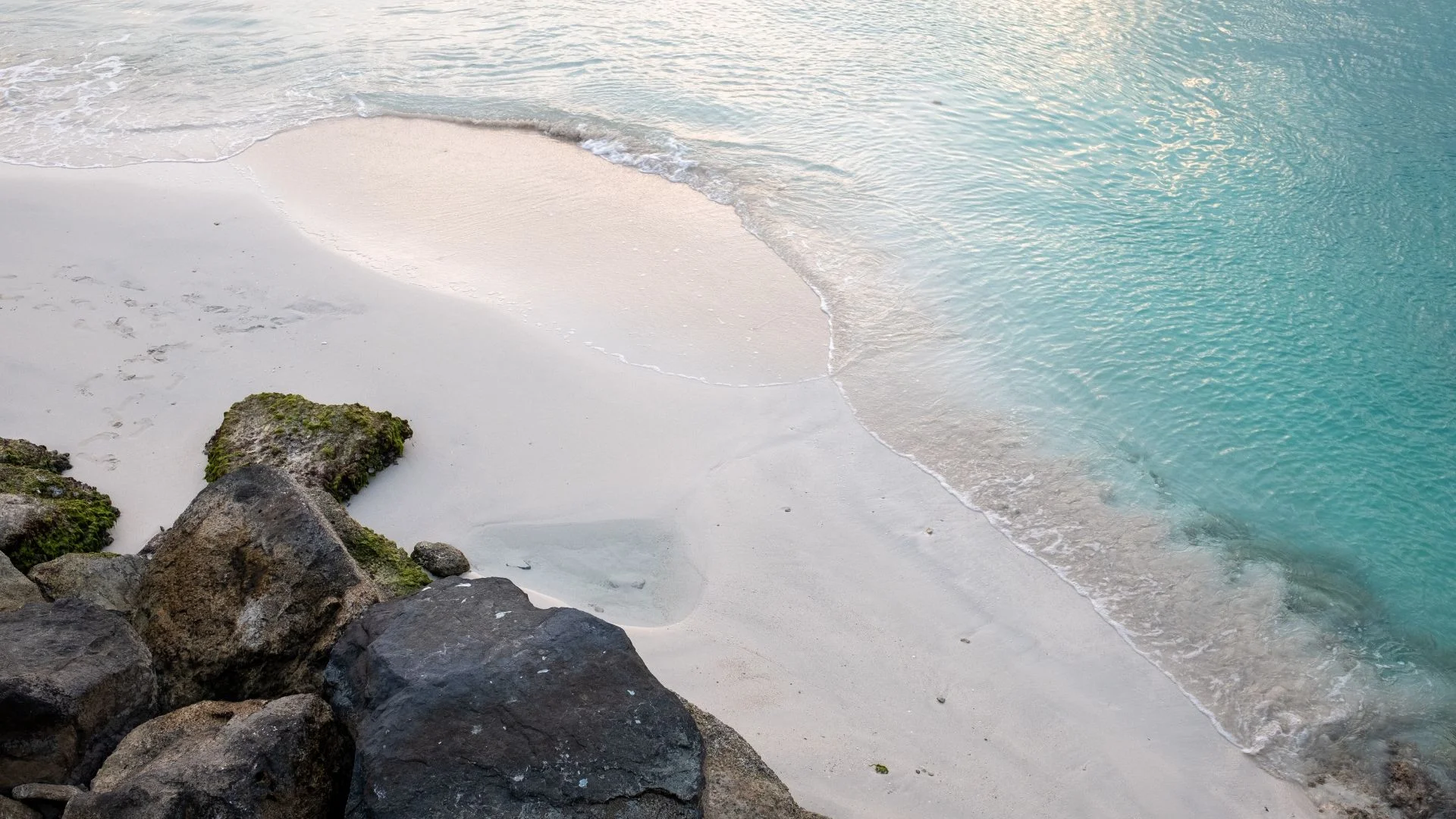 Isla Barú en Cartagena de Indias: Guía Completa