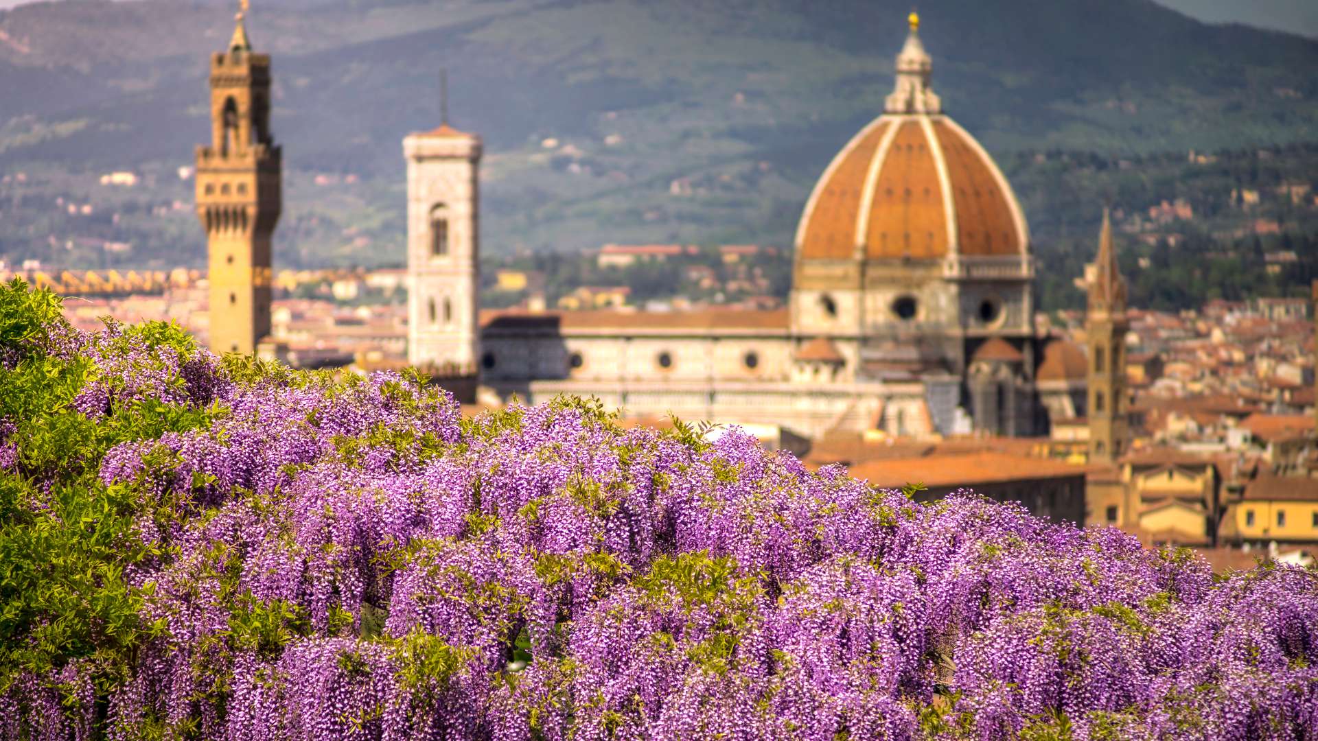 Viajar en primavera: Los mejores destinos y consejos para un viaje de ...