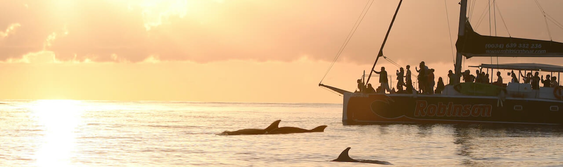 Robinson Boat - Sunrise with Dolphins