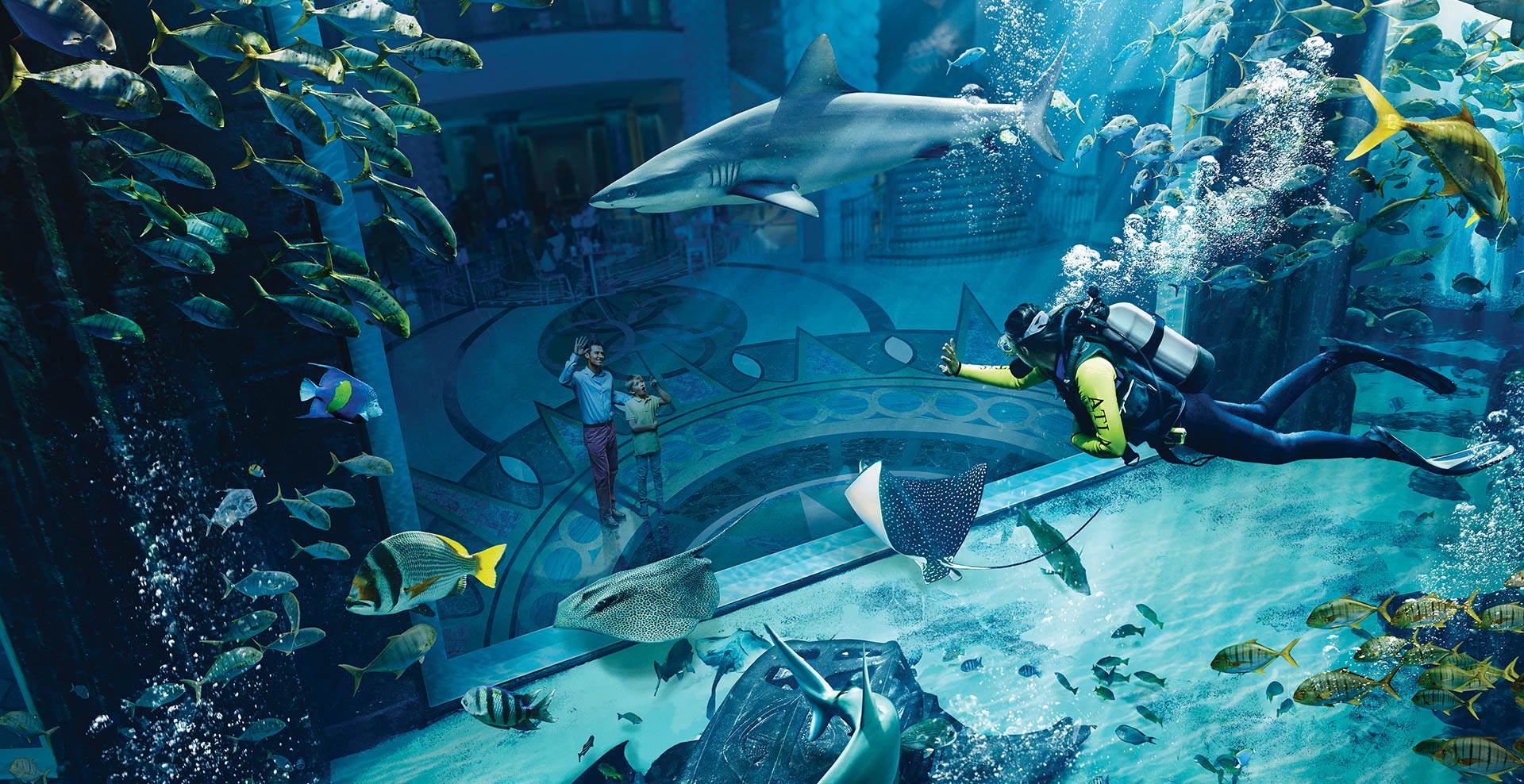 SeaWorld Abu Dhabi