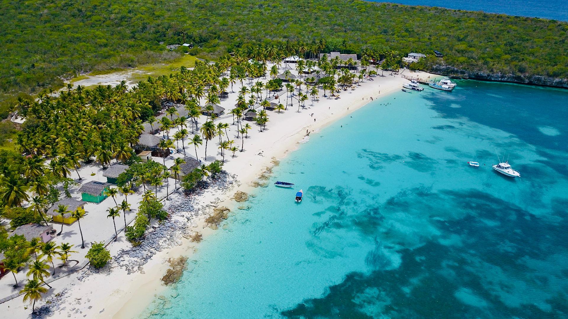 Monstruo De La Isla Catalina