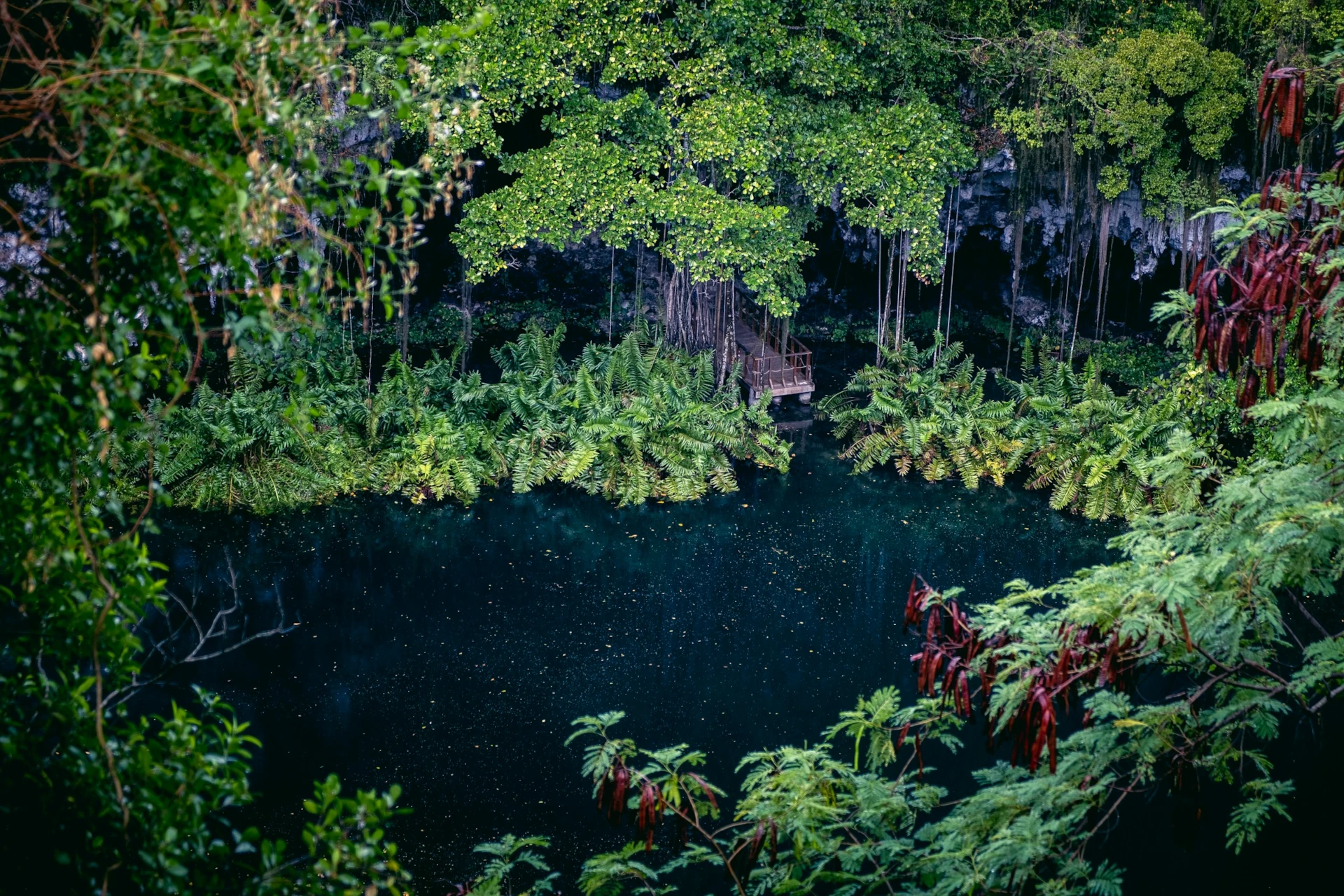 O que ver na Reserva Ecológica Olhos Indígenas: lagoas, trilhos e natureza