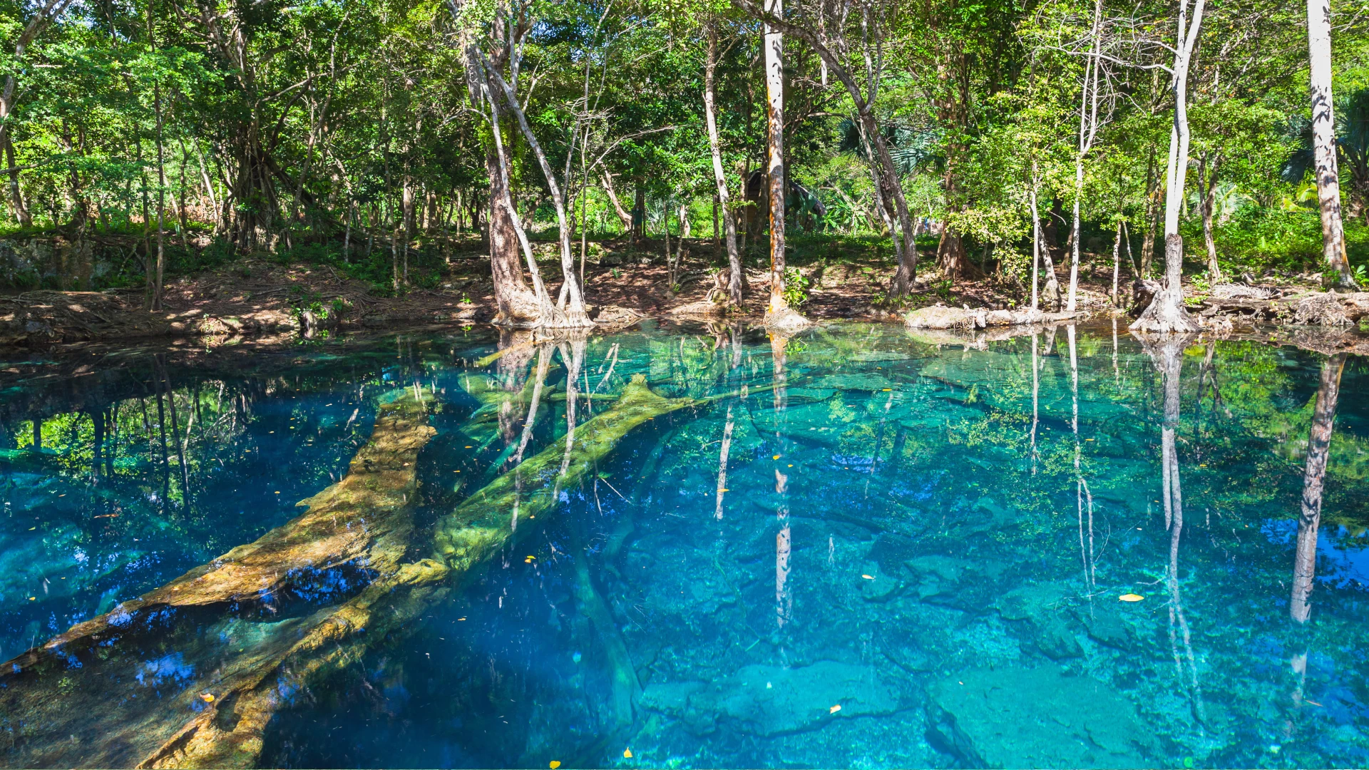 Qué ver en la Reserva Ecológica Ojos Indígenas: lagunas, senderos y ...