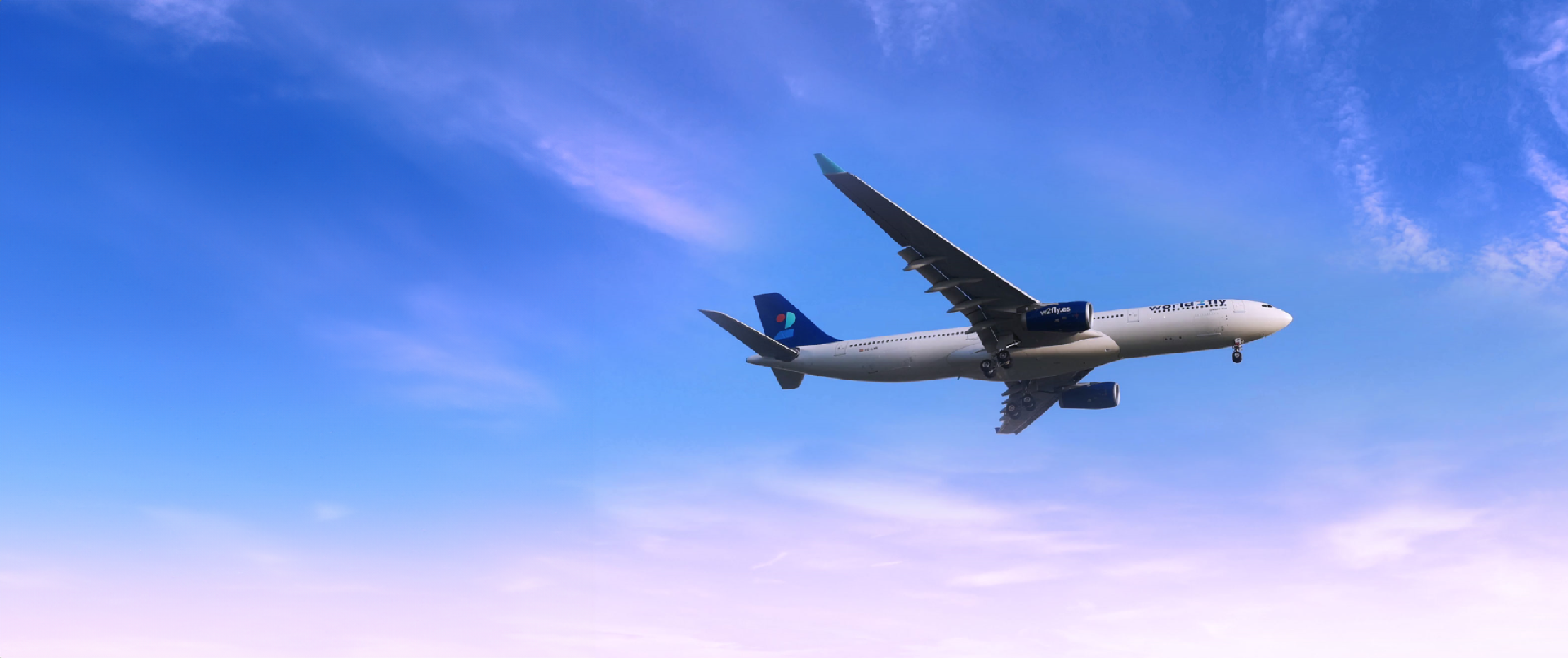 Reserva de asientos - W2Fly