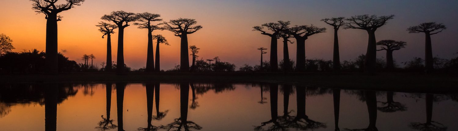 Curiosidades sobre Madagascar